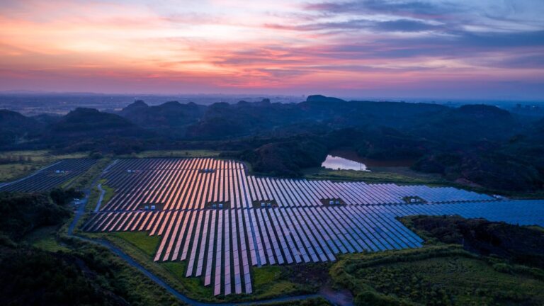 Portfolio — Ara Partners