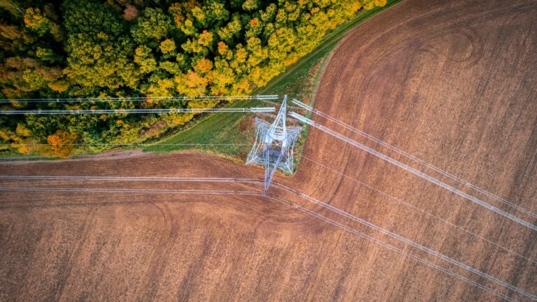 Portfolio — Ara Partners