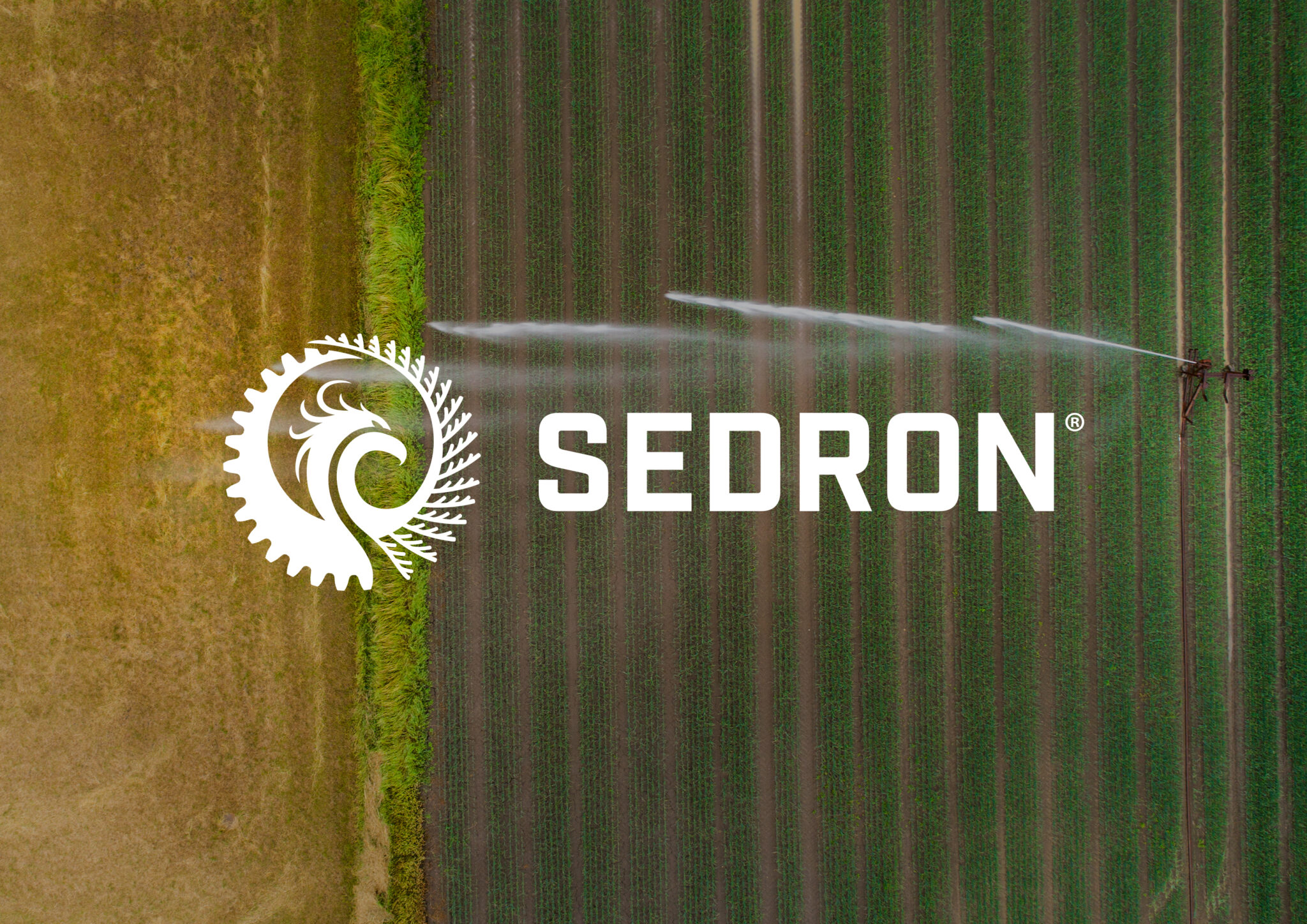 Ara Partners Announces Up to $500 Million Investment in Sedron® to ...